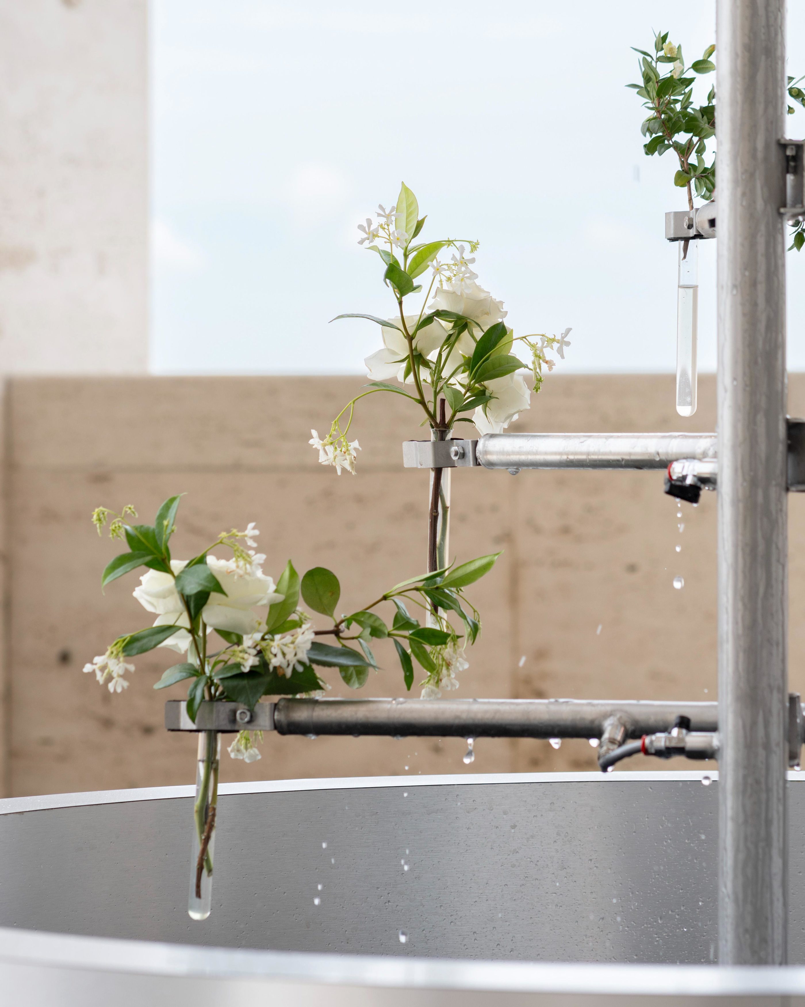 Decoding Fendi Fragrance, Rooted in History and Family Ties